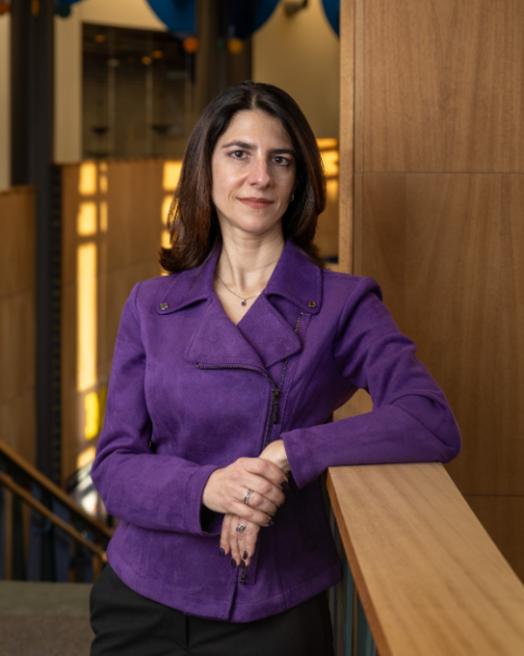 April M. Zeoli, PhD, MPH | Institute for Firearm Injury Prevention